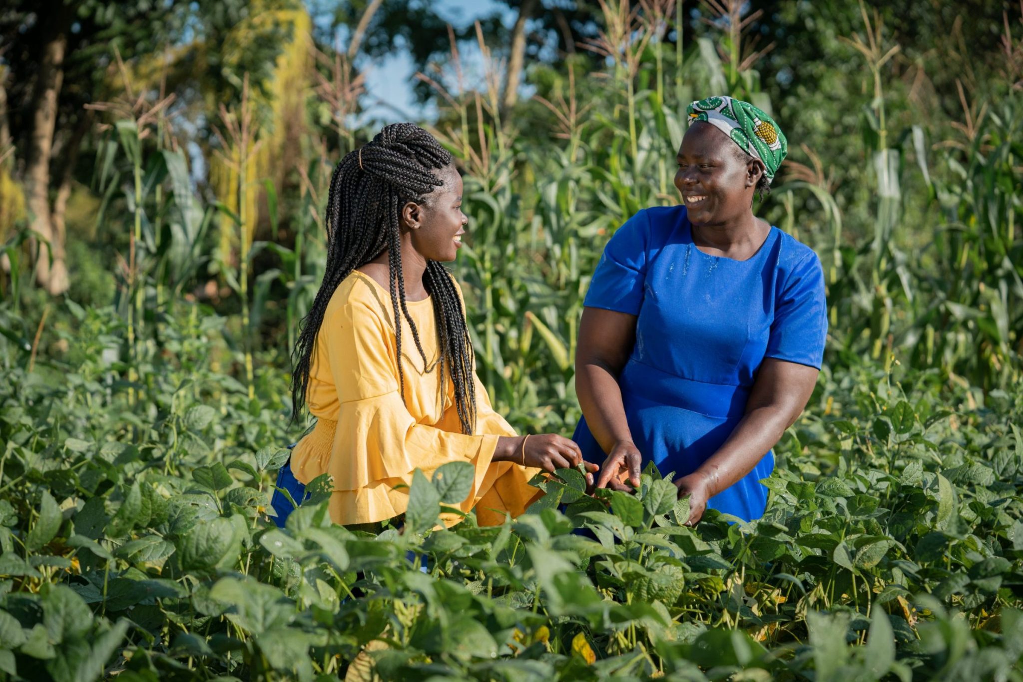 Index of /wp-content/uploads/2021/05